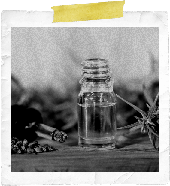 Cannabis Dispensary Ajax. Weed Dispensary With Weed Delivery.