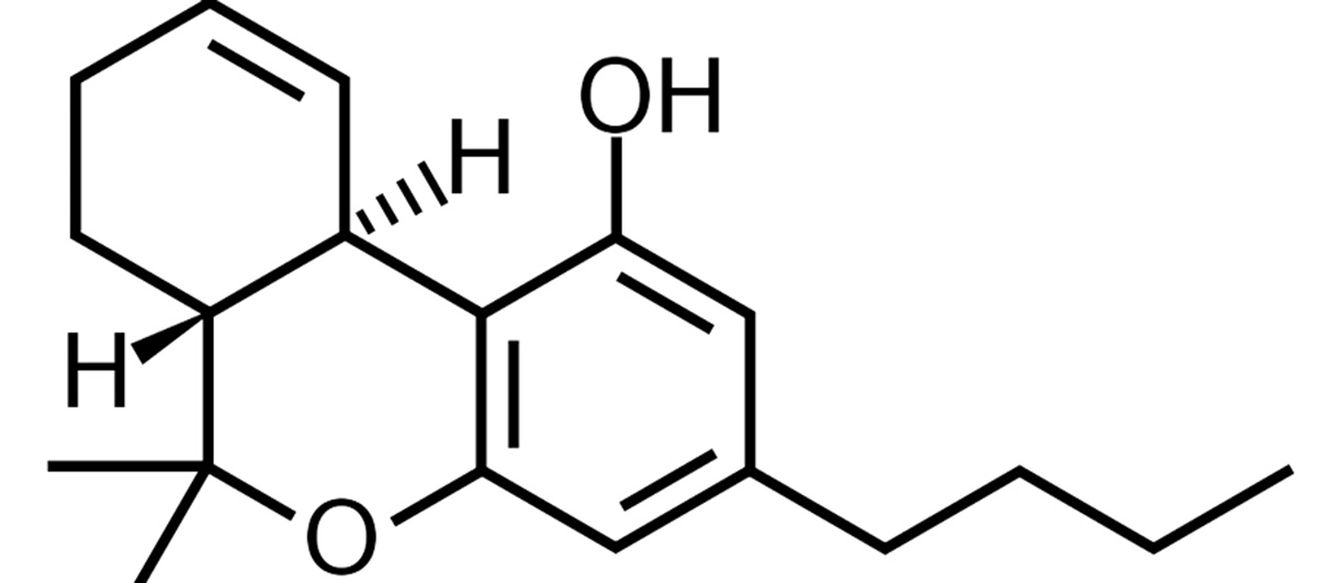 What Are Cannabinoids Like THC and CBD & How Do They Affect Me?